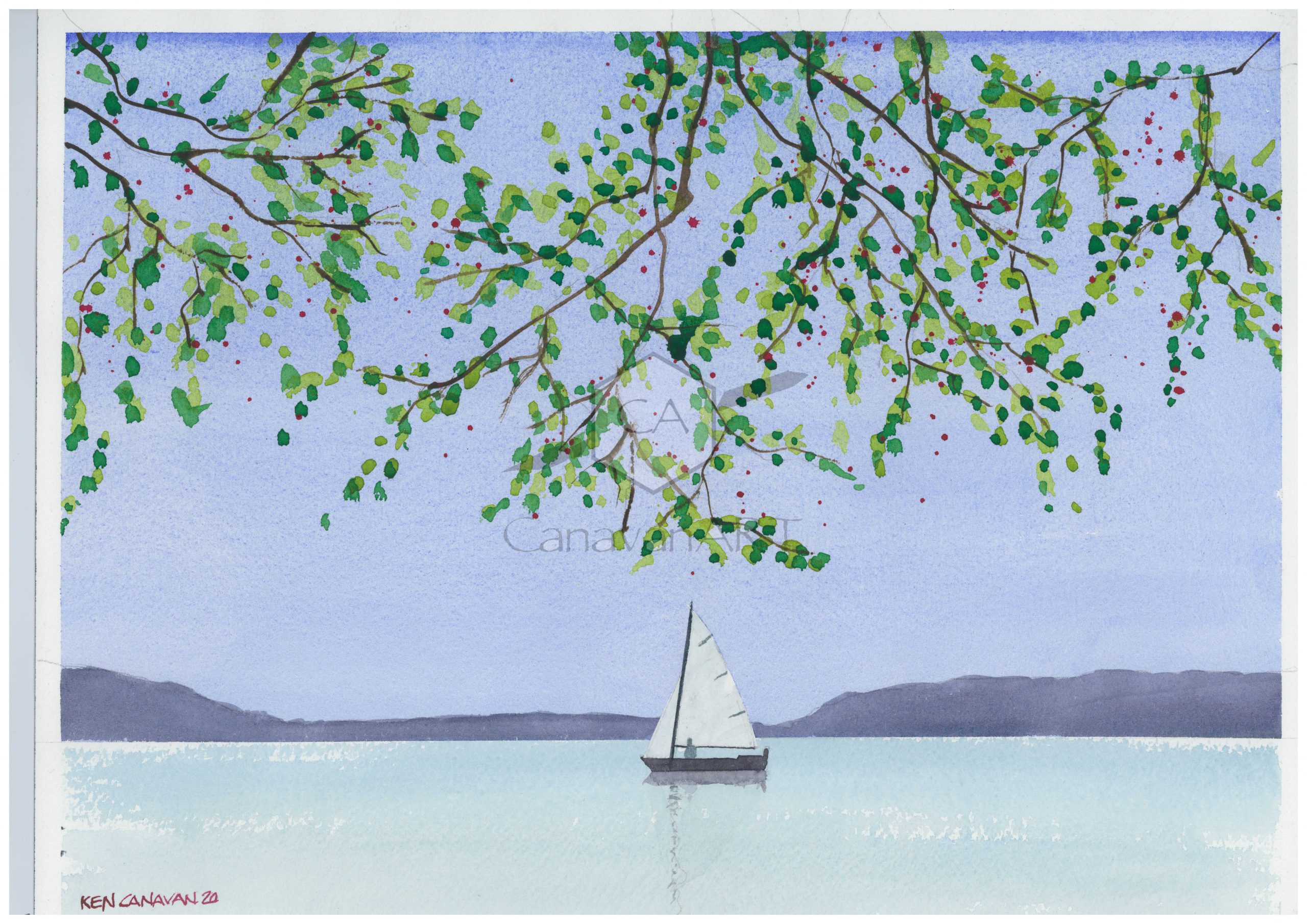 SAIL BOAT 130 CanavanART